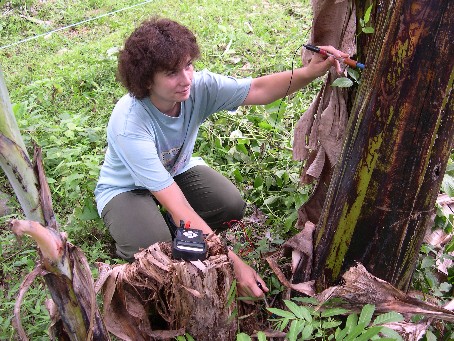 LandMapper is versatile handheld instrument for mapping and surveying ...